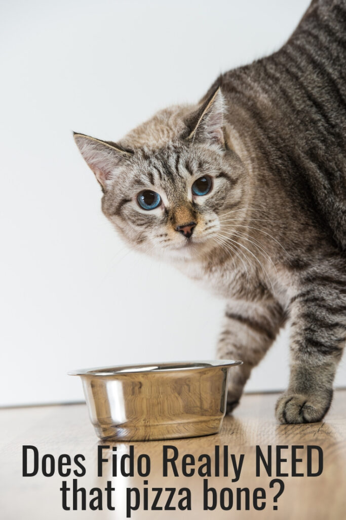 Does Fido Really NEED that pizza bone? - MCLife Tucson - Apartment ...