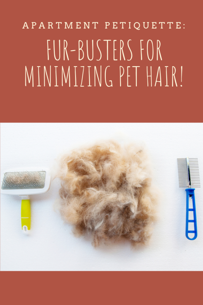 Apartment Petiquette 101: Fur-Busters for Minimizing Pet Hair - MCLife ...