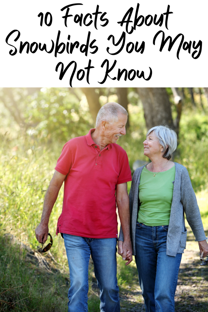 10 Facts About Snowbirds You May Not Know - MCLife Tucson - Apartment ...