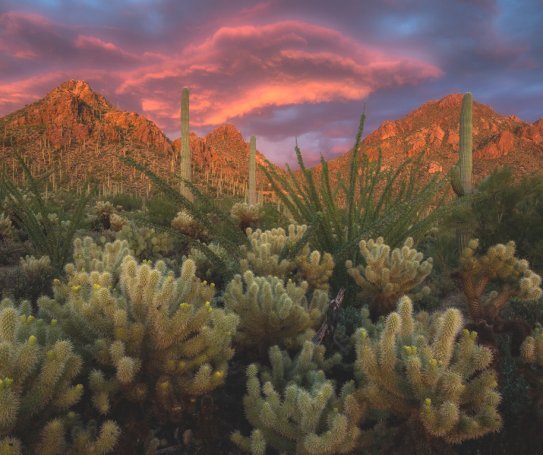 5 Best Places To Watch The Sun Set In Tucson - MCLife Tucson ...