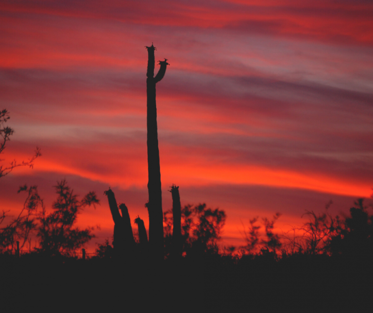 5 Best Places To Watch The Sun Set In Tucson - MCLife Tucson ...